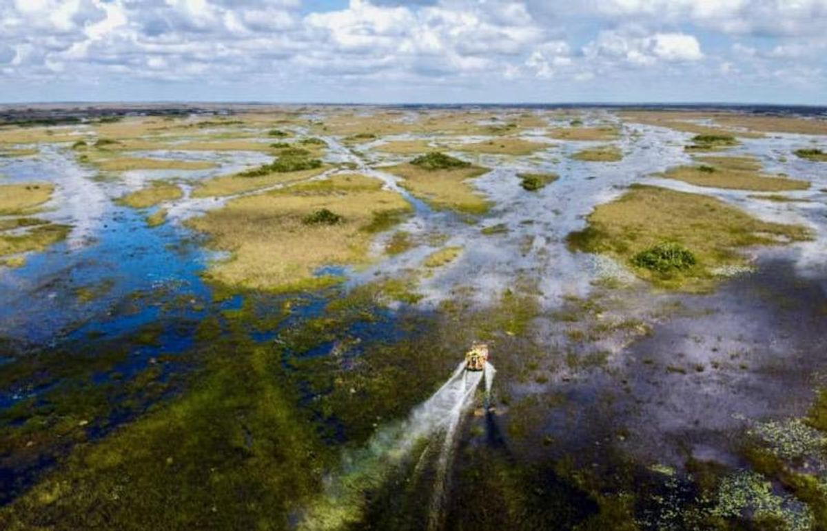 Climate change threatens the Everglades, Florida's gem - Raw Story ...