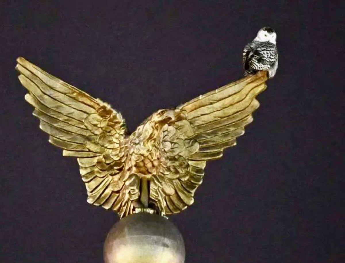 Birdwatchers flock for glimpse of rare snowy owl in US capital - Raw Story