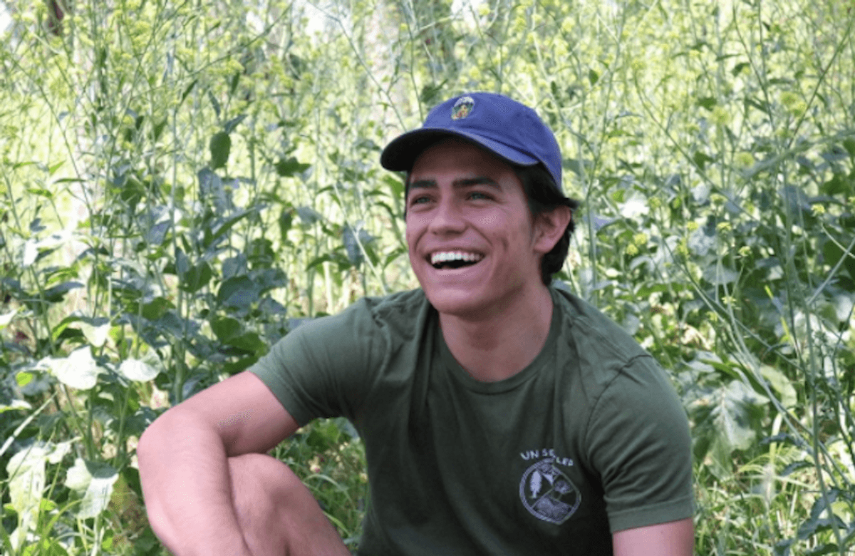 TikTok star dies after being shot at US cinema - Raw Story