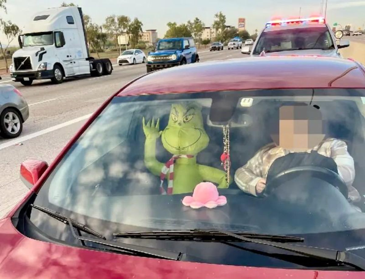 'Seusspicious': US cop tickets driver for inflatable Grinch - Raw Story