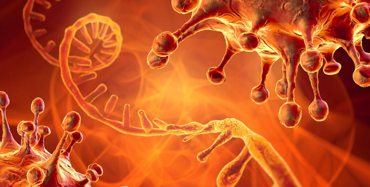 Your immune system makes its own antiviral drug − and it’s likely one ...