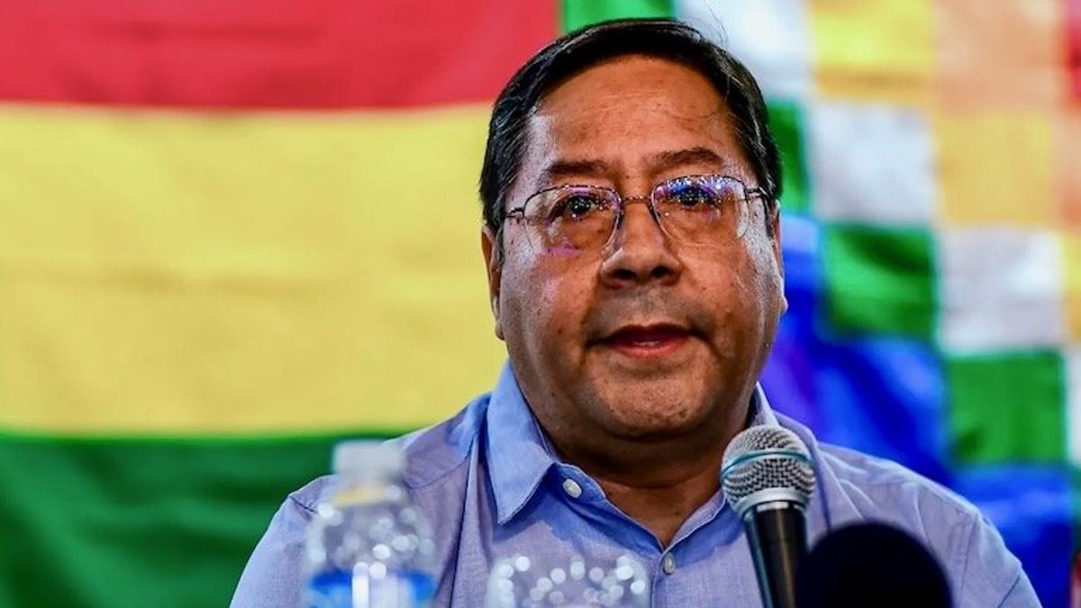 'Democracy must be respected': Bolivian leader replaces military chiefs ...