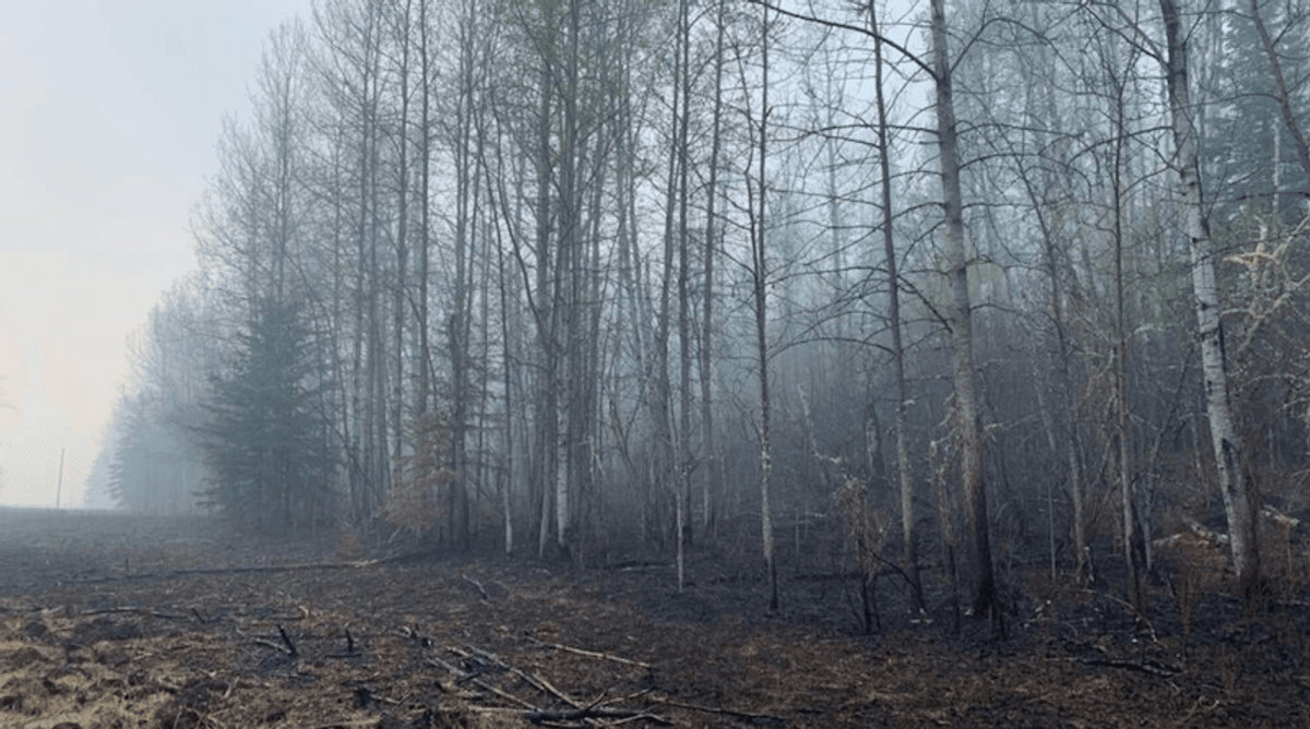 Smoke choking Canadians but cooling wildfires by blocking out sun - Raw ...