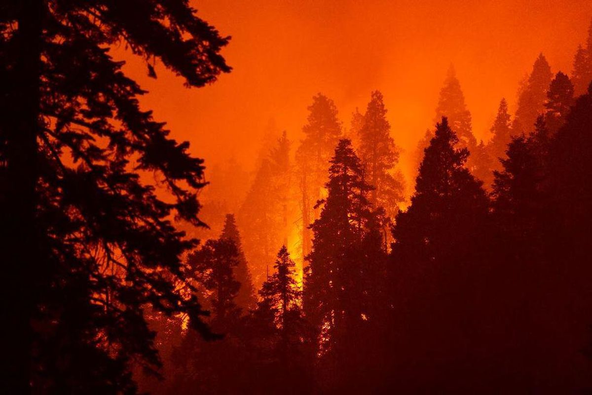'Terrible proof': California fire documentary explores human failings ...