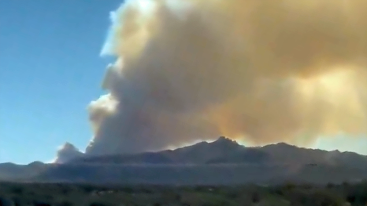 Evacuations ordered as massive forest fire erupts in Arizona: report ...