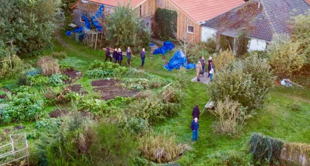 Dutch farm cult dad unfit for trial: prosecutors - Raw Story