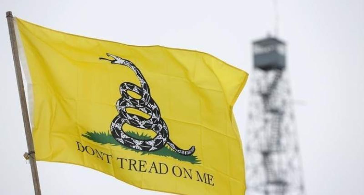 Marjorie Taylor Greene compares rattlesnake flag to Constitution in ...