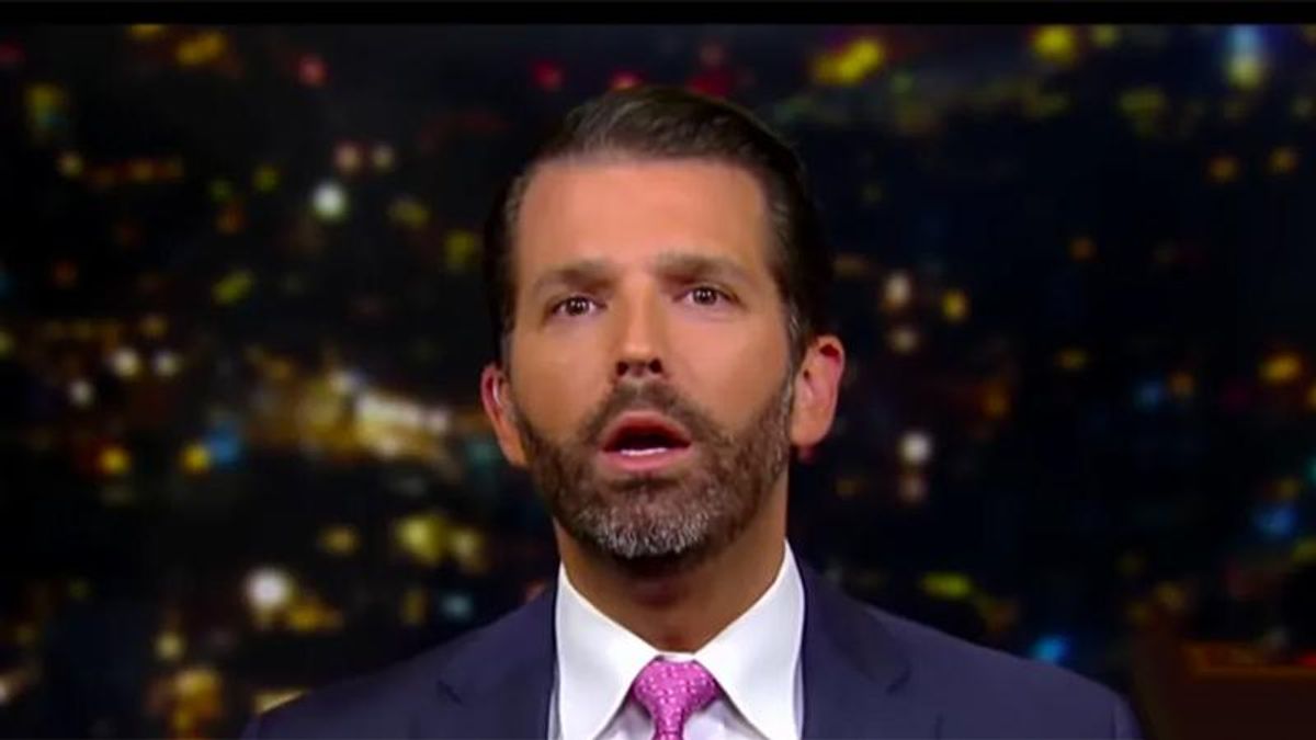 ‘Are we that stupid?’ Donald Trump Jr. veers off-script with ‘landslide ...
