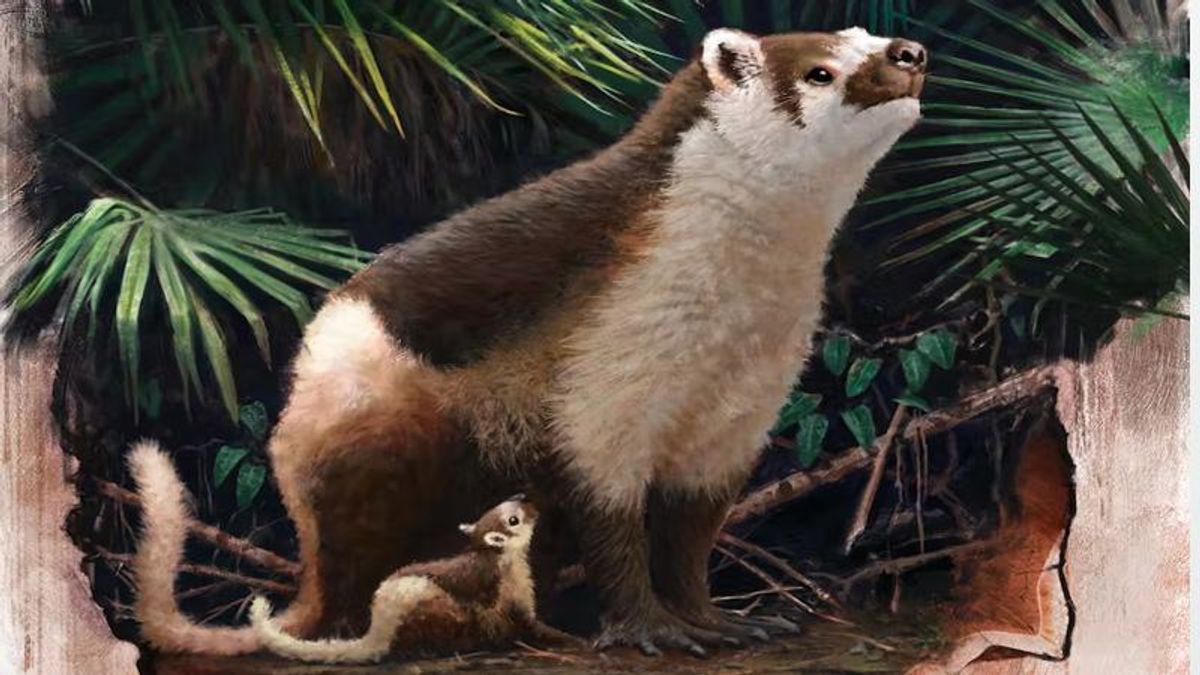 A fossil baby helped scientists explain how mammals thrived after the dinosaur extinction - Raw ...