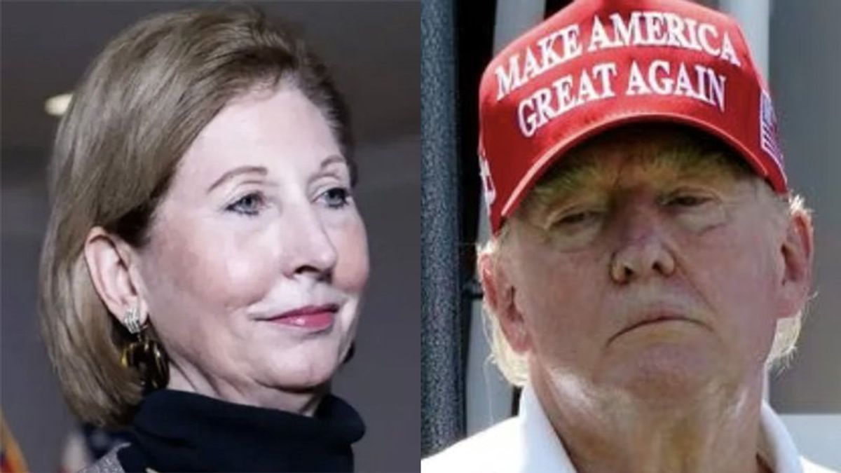 'Too dumb?' Trump ally Sidney Powell roasted by elections official for ...