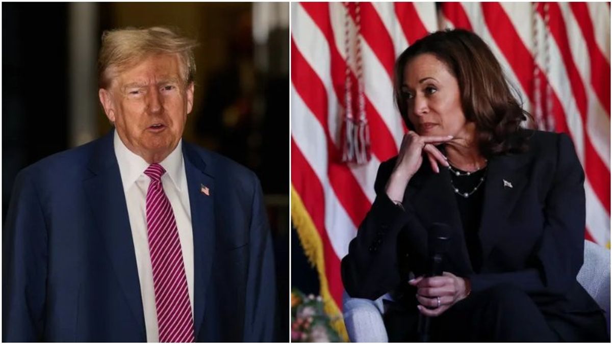 'He has to debate': Ex-Trump official says Harris has former president ...