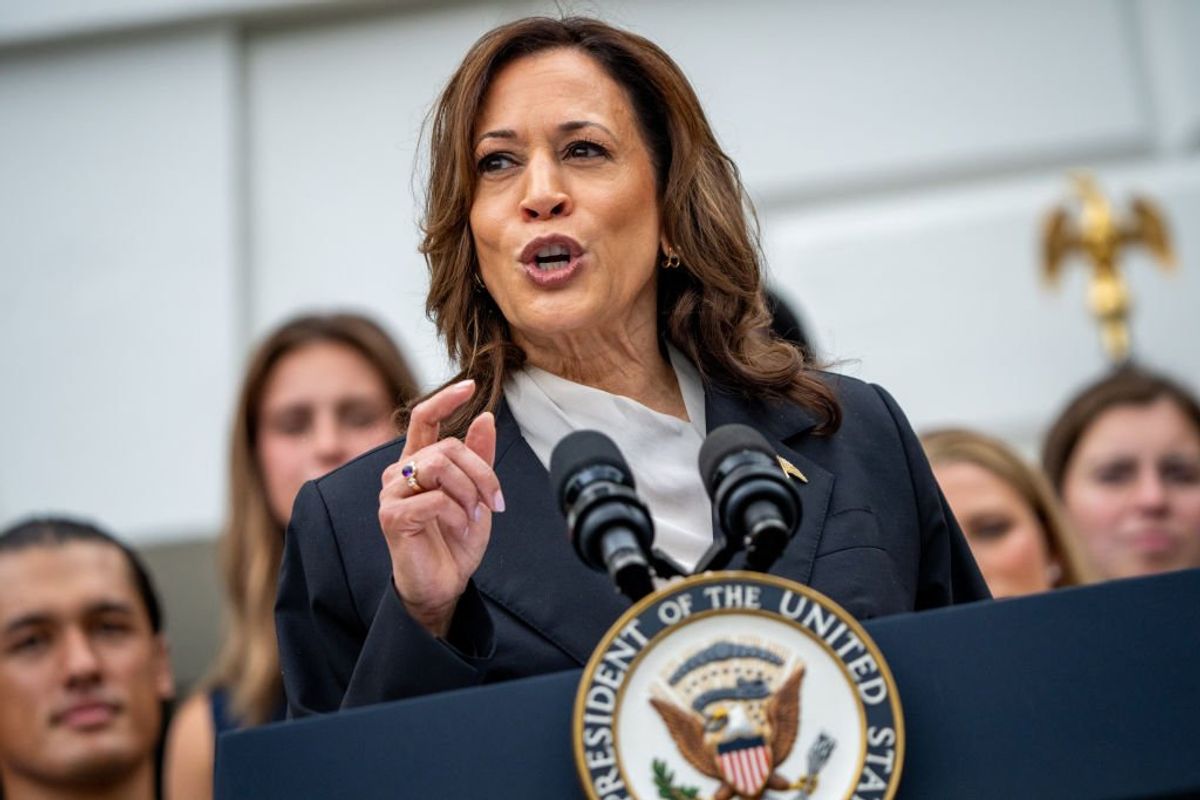 Analysts see excitement and pathways for Kamala Harris 'historic' win ...