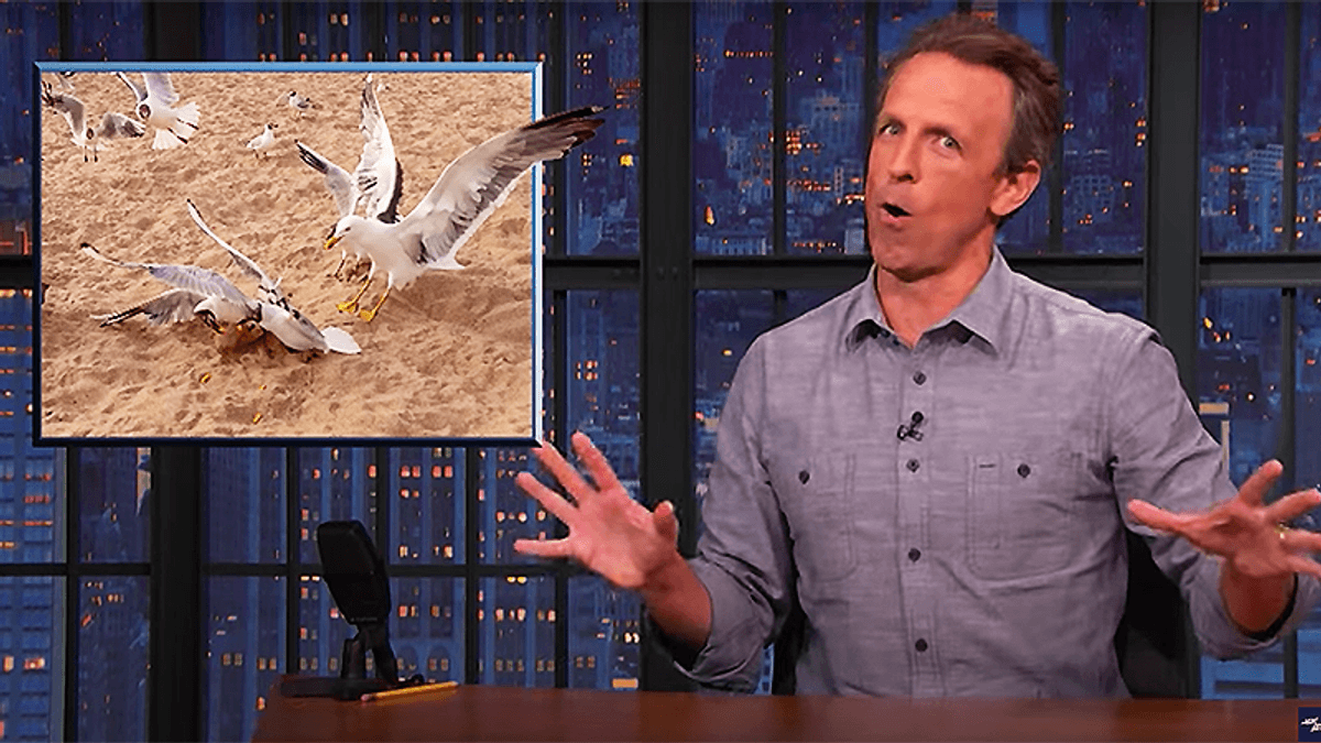 'Seagulls fighting over potato chips' are 'more organized' than the GOP ...