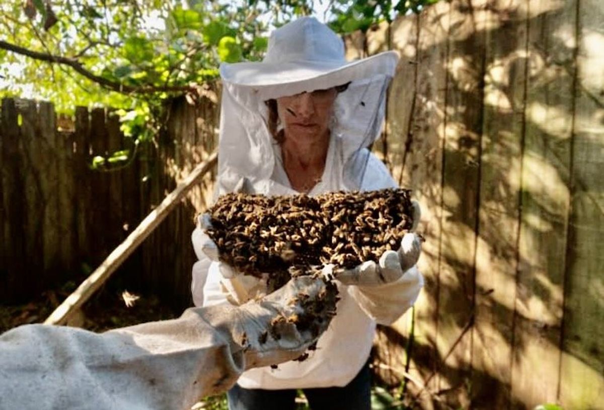 For a best friend to Florida bees, each rescue is personal - Raw Story