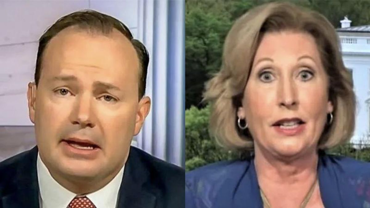 Mike Lee burned to the ground by former RNC official for being 'no ...