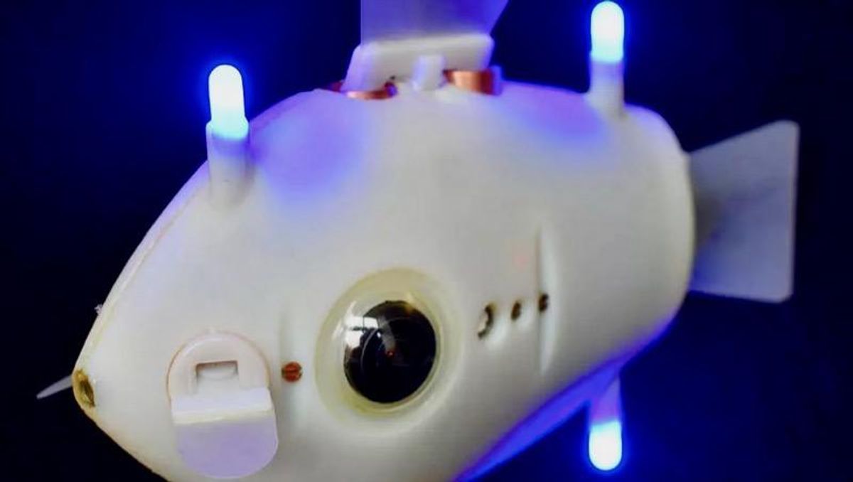 Mini robot fish swim in schools, just like the real thing - Raw Story