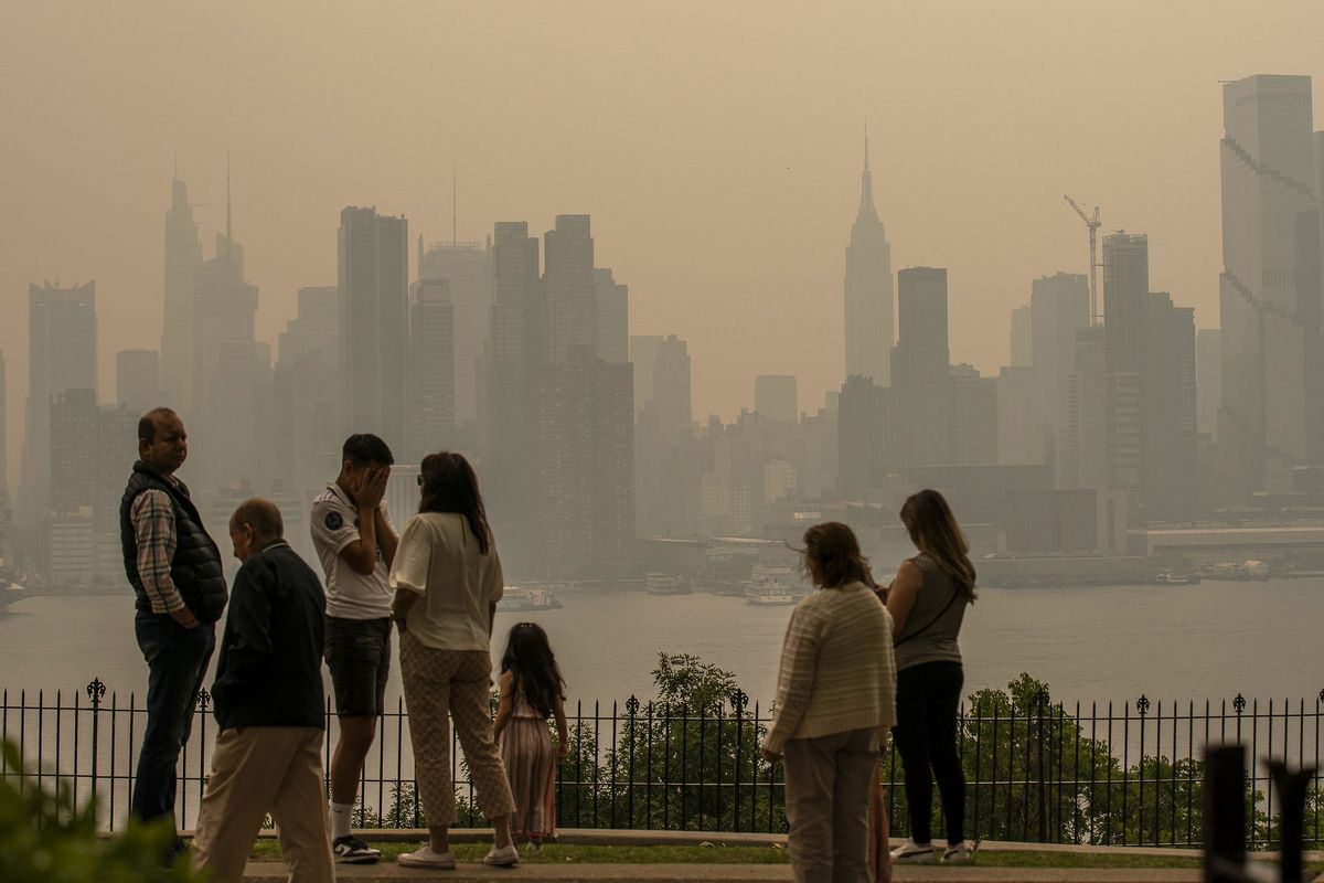 ‘Bug Apple’ insect infestation latest plague to hit smoky NYC - Raw Story