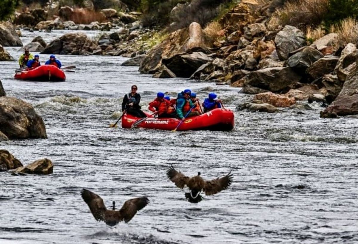 Healthy snowpack heralds bumper season for U.S. rafters - Raw Story
