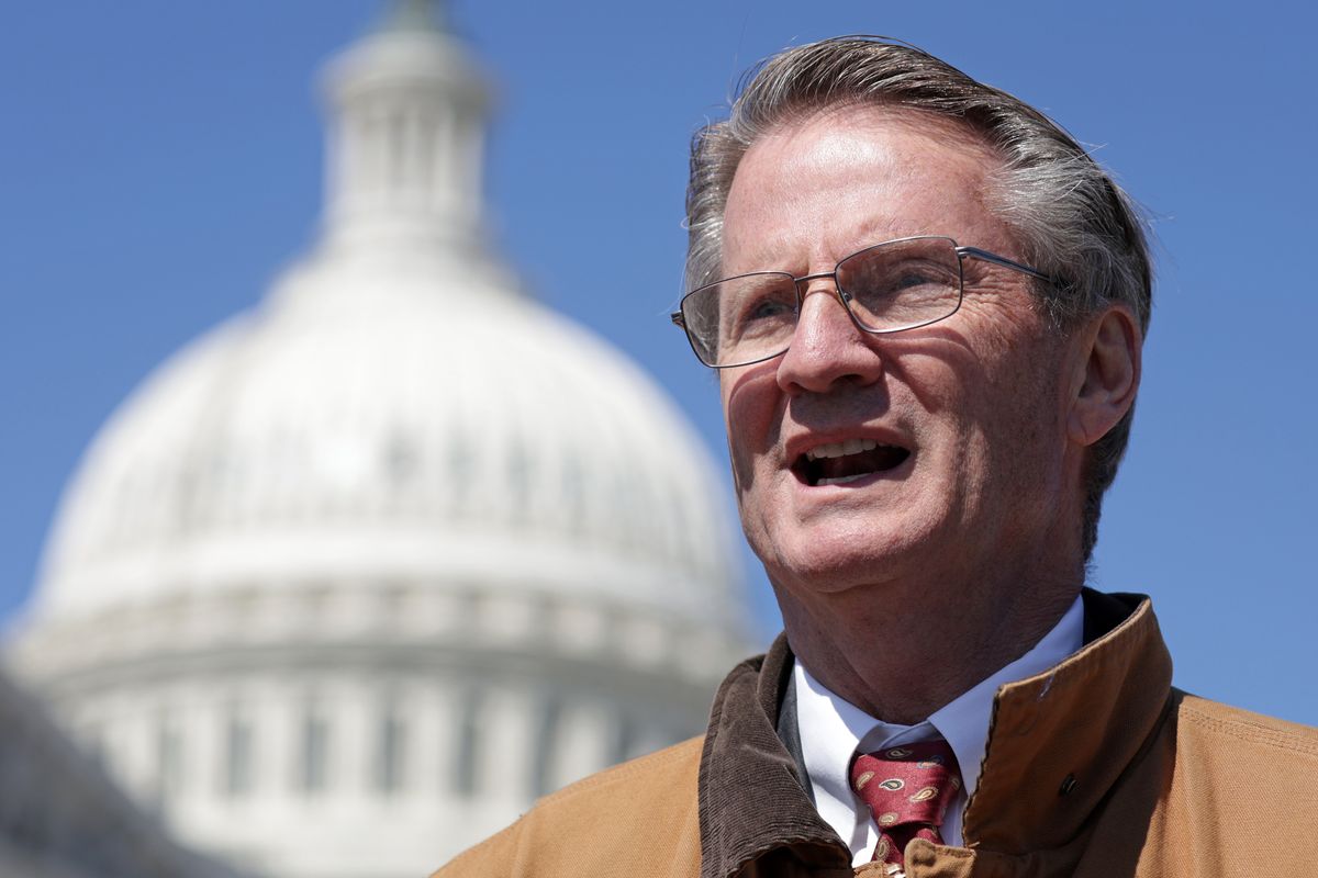 Infighting erupts as GOP congressman slams 'gutless Republicans' over ...