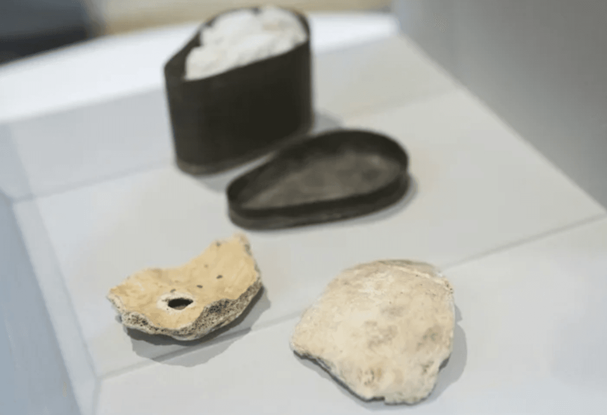 Presumed Beethoven skull fragments return to Vienna - Raw Story