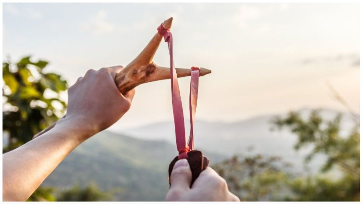 Boy uses slingshot to fight off would-be kidnapper trying to grab 8 ...