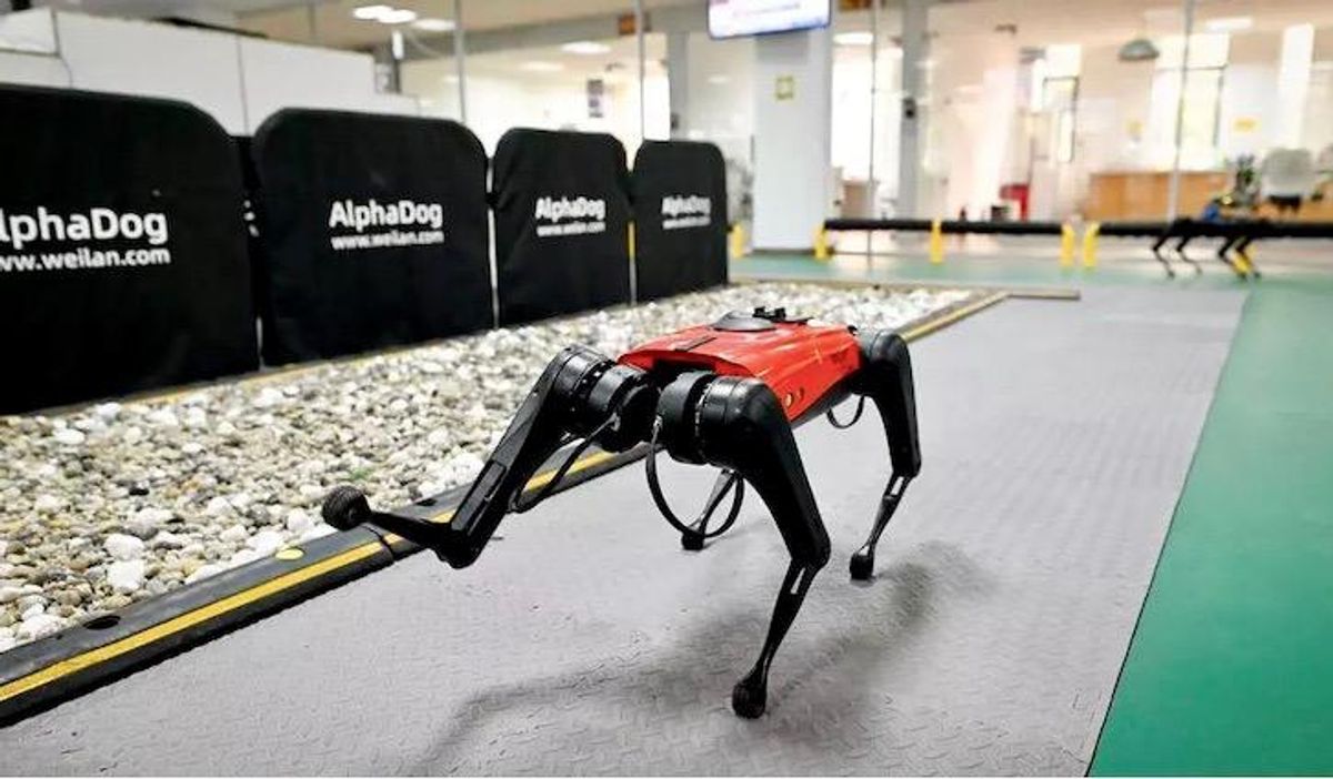 The ulti-mutt pet? Chinese tech company develops robo-dogs - Raw Story