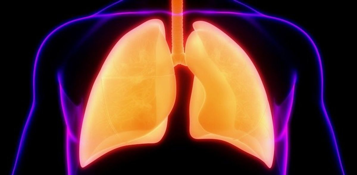 Iron fuels immune cells – and it could make asthma worse - Raw Story