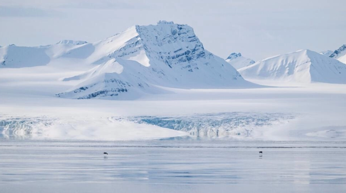 Scientists save ancient Arctic ice in race to preserve climate history ...