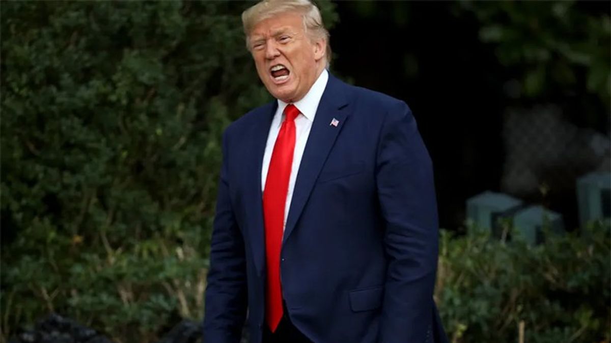 'Public nervous breakdown': Ex-Trump appointee says former president ...