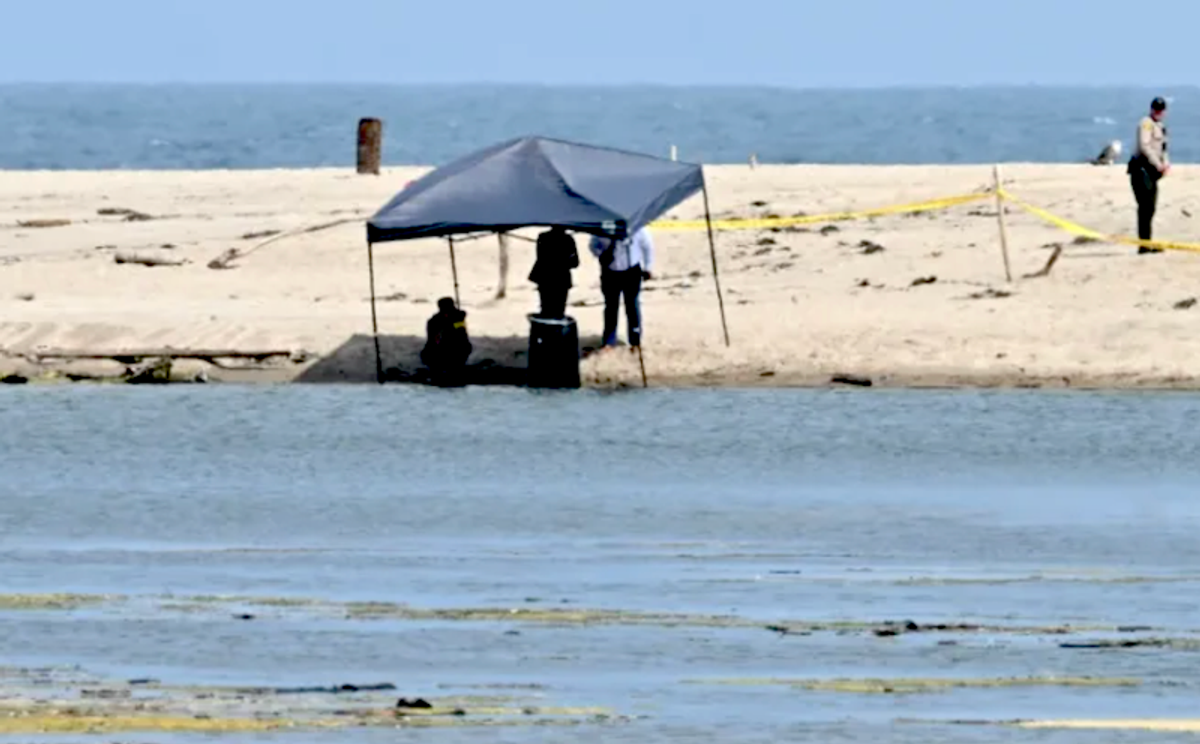 Body in barrel found on Malibu beach: police - Raw Story